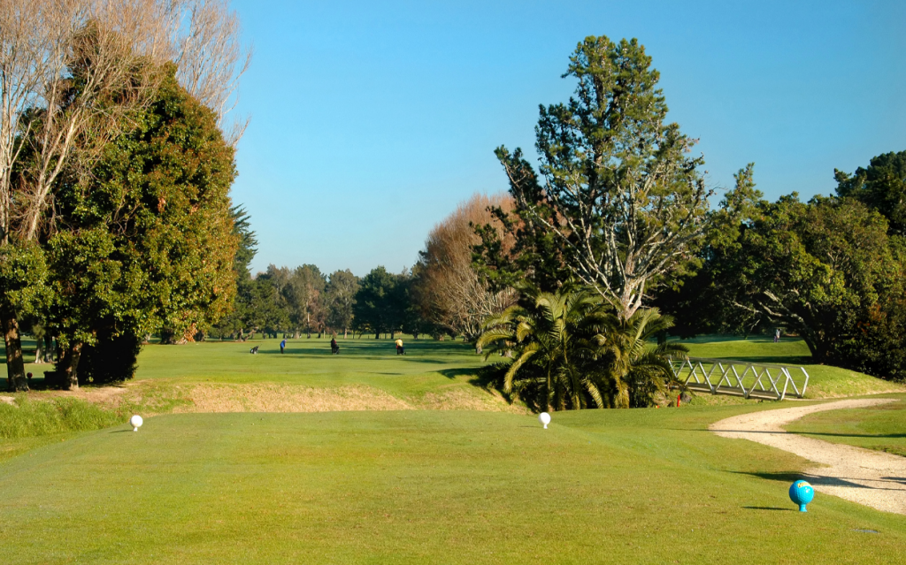 10 Basic Golf Rules for Beginners - The Golf Blog