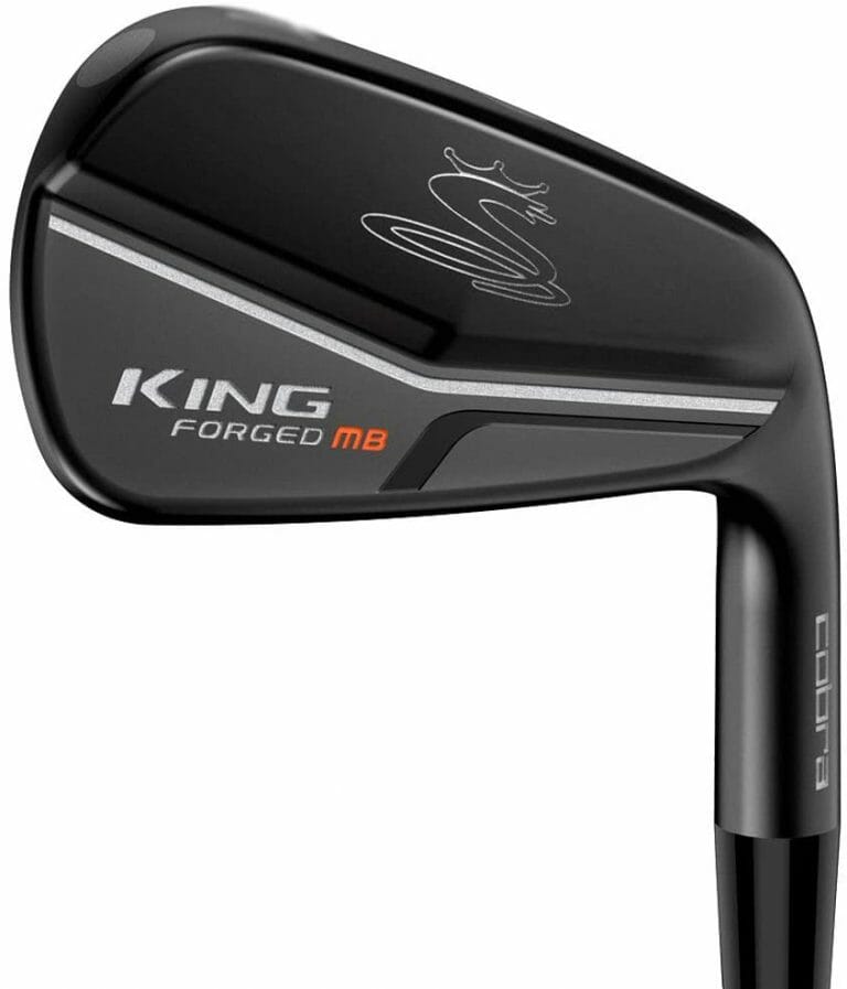 The 5 Best Muscle Back Irons (Updated 2025) | The Golf Blog