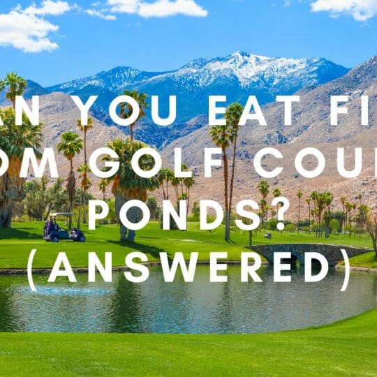 The Golf Blog - Golf Better