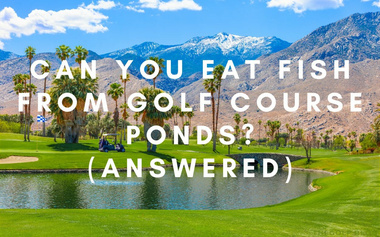 Can You Eat Fish From Golf Course Ponds? (Answered) - The Golf Blog