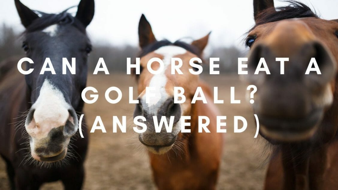 Die 10 besten Golfsimulatoren (Stand 2025) | Der Golf-Blog